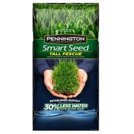 Smart Seed Tall Fescue Premium Grass Seed Mix, 3-Lbs., Covers 1,500 Sq ...