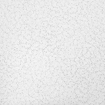 Armstrong Ceilings Random Textured 24-in x 24-in Light Commercial ...
